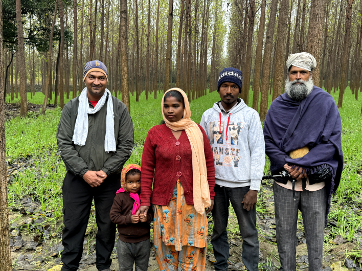 Our agroforestry project in Punjab to sequester carbon emissions